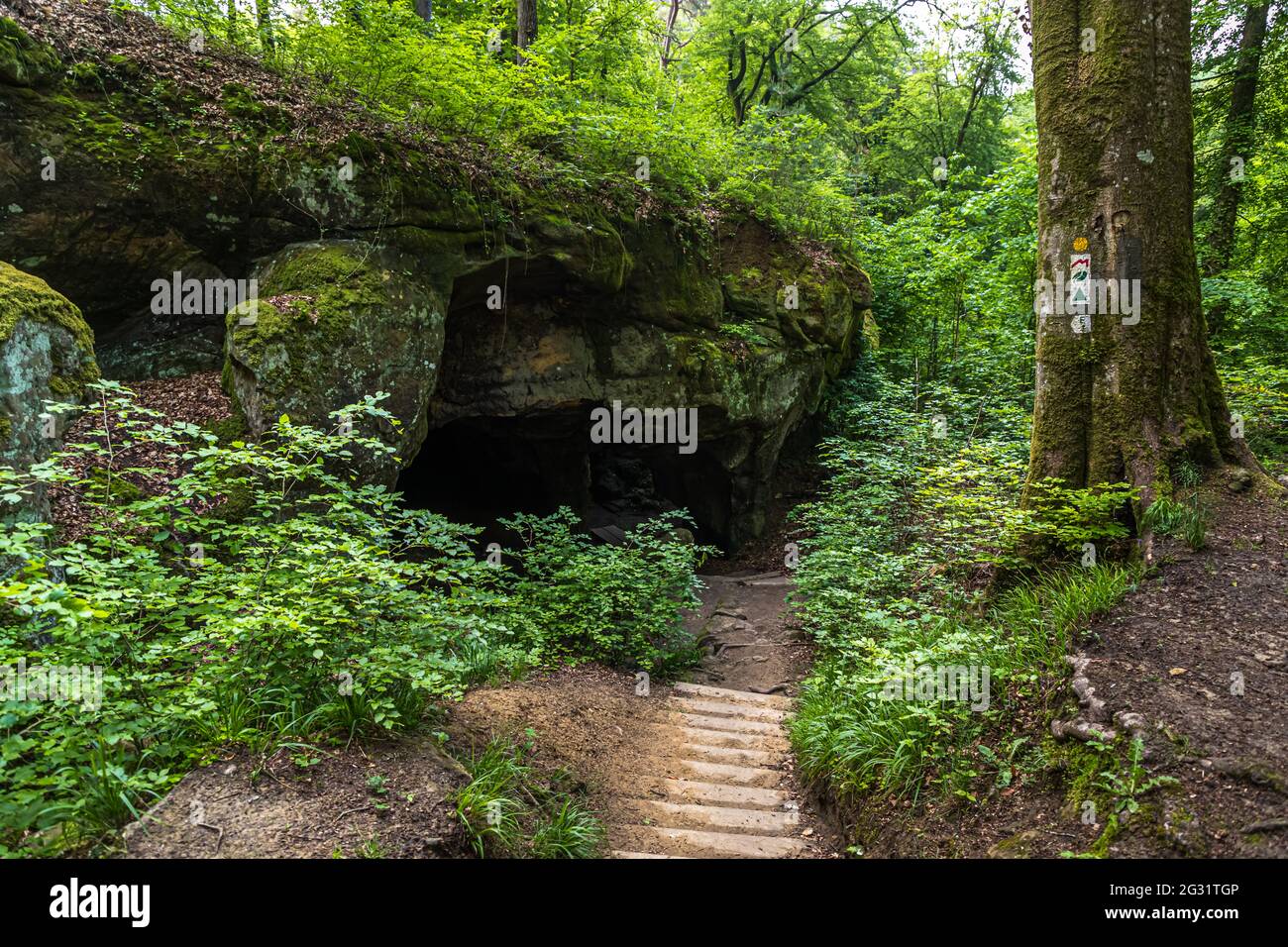 Marked hiking trails in Luxembourg Stock Photo - Alamy