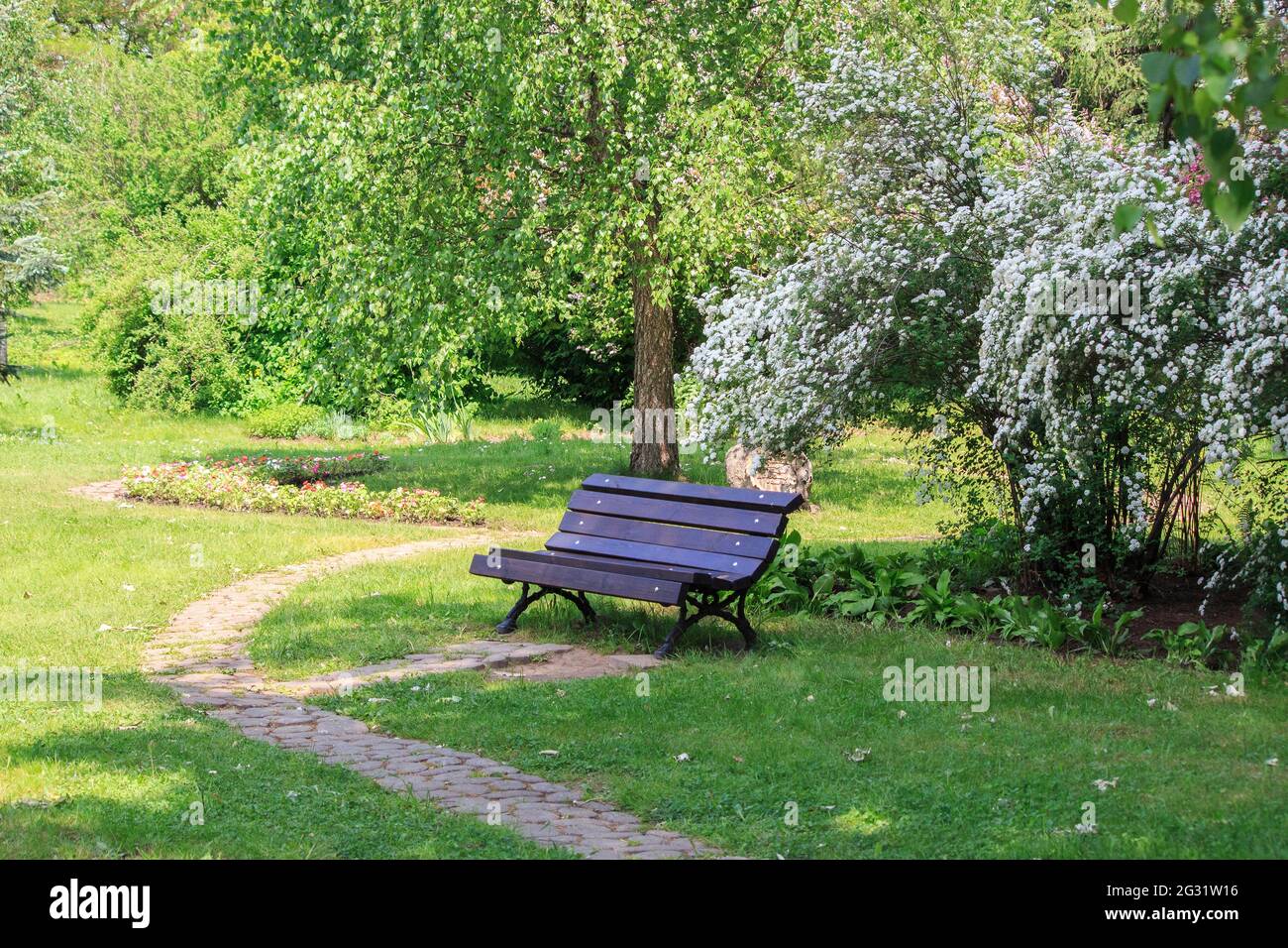 Flowering shrubs in the park Stock Photo - Alamy