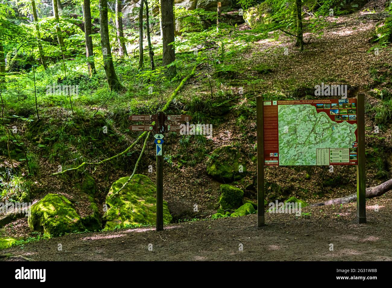 Hiking map and signposts at a fork in the Müllerthal near Berdorf ...