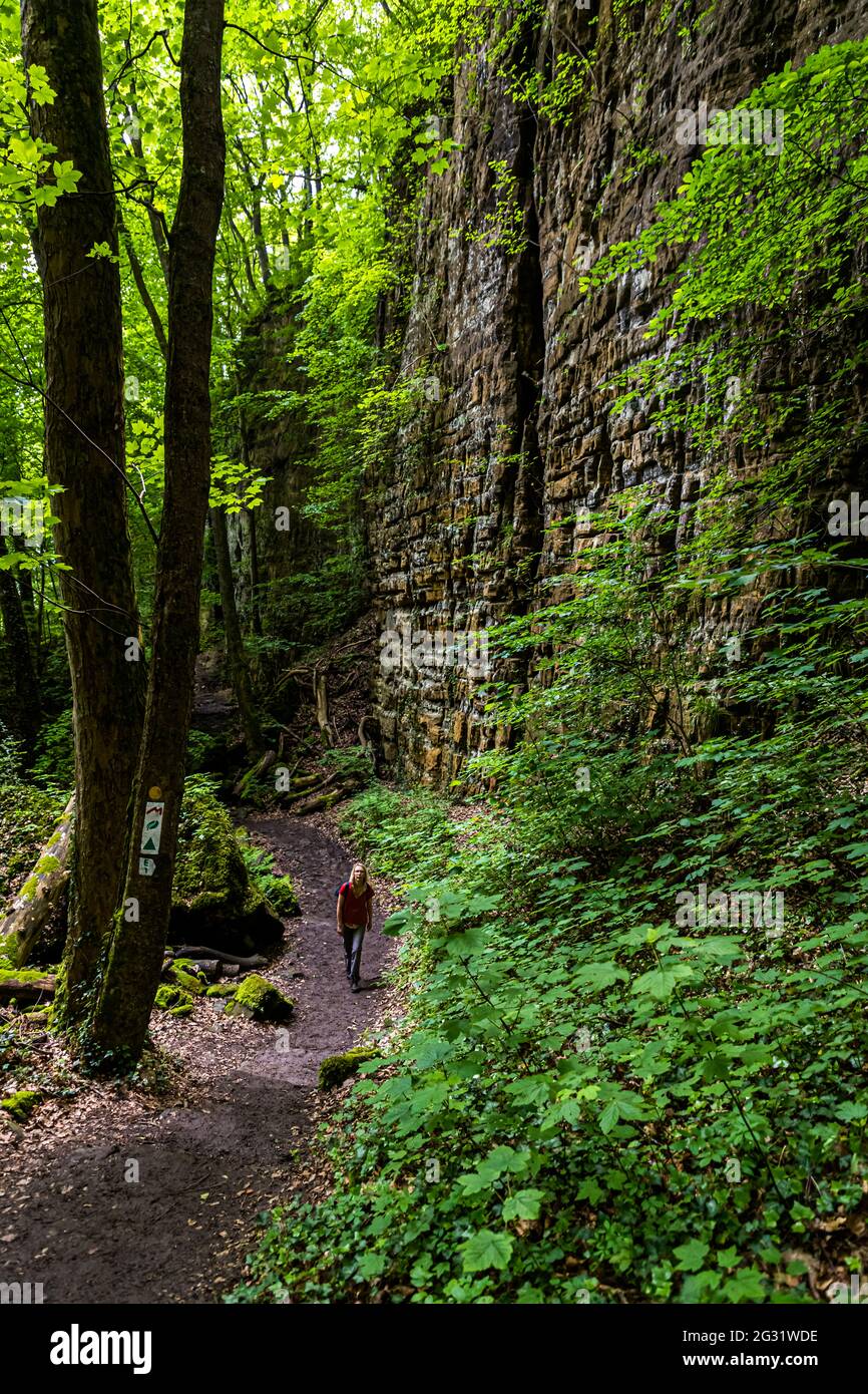 Hiking trail through the Wolf Gorge in the Mullerthal Valley near ...