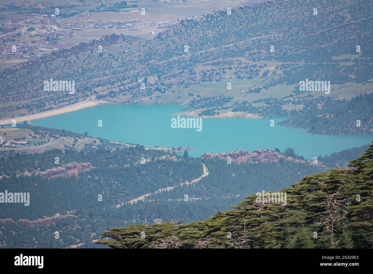 Scenic View from Chelia National Park. Atlas Cedar Forest (Cedrus ...