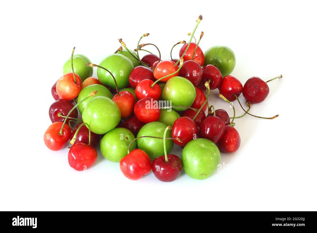 Single whole fresh green Can Erik plum and cherry close up isolated on ...