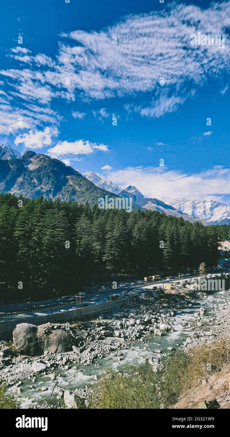 A vertical shot of coniferous trees and mountains under a cloudy sky ...