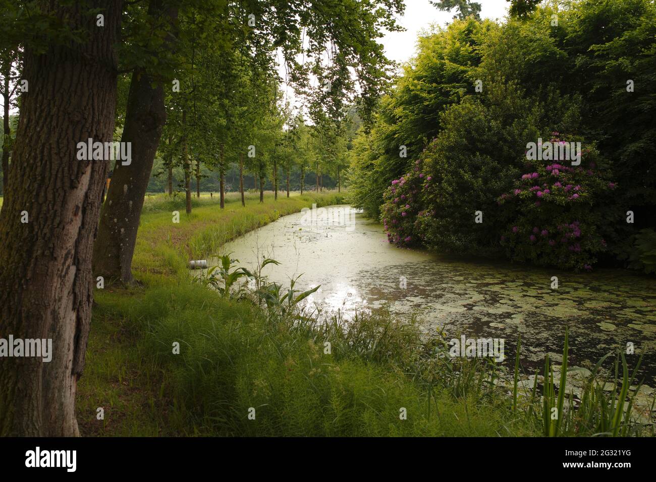 A moat around the garden of an estate. In the garden is a purple ...