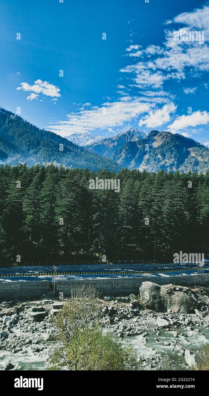 A vertical shot of coniferous trees and mountains under a cloudy sky ...