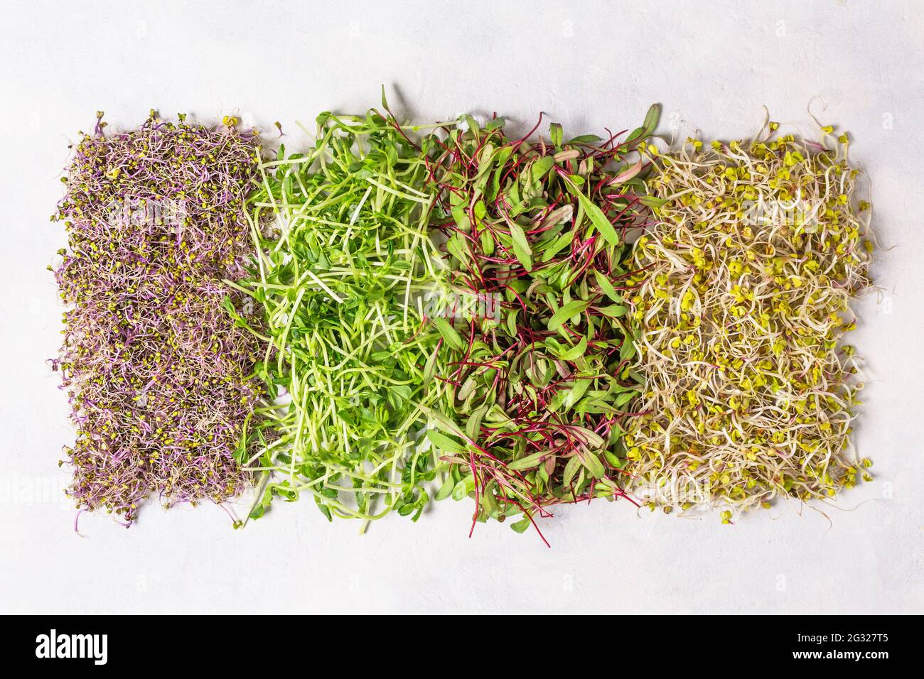 Mix of various sprouts on white background top view. Sprouted seeds ...