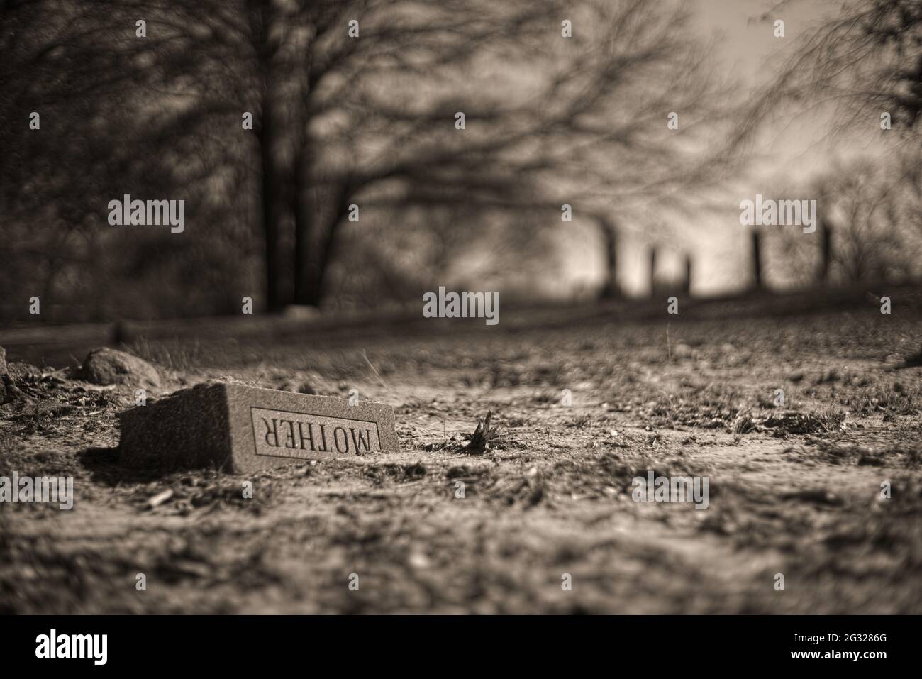 A selective focus of a grave with "MOTHER" written on the gravestone in ...