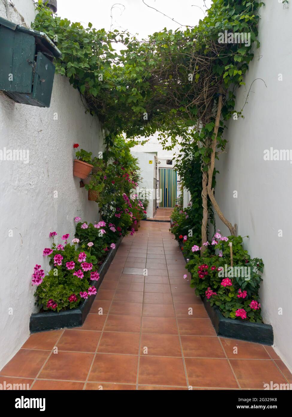 Traditional alley decorated flowers hi-res stock photography and images ...