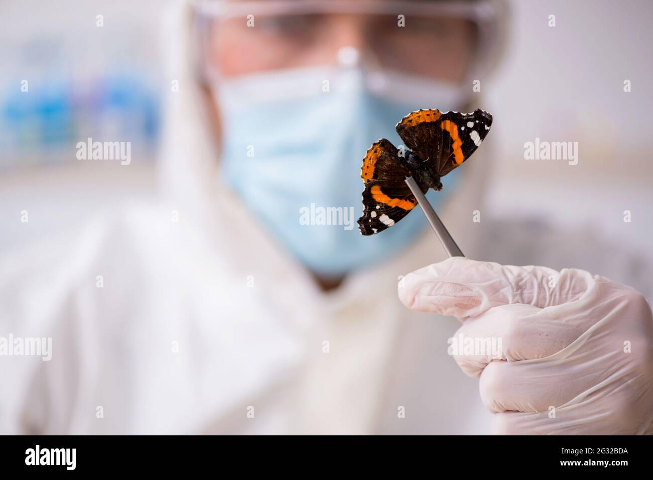 Young chemist zoologist working at the lab during pandemic Stock Photo ...