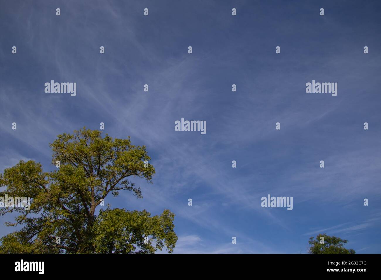 Cloud formations above the forest in Harkerville in South Africa Stock ...
