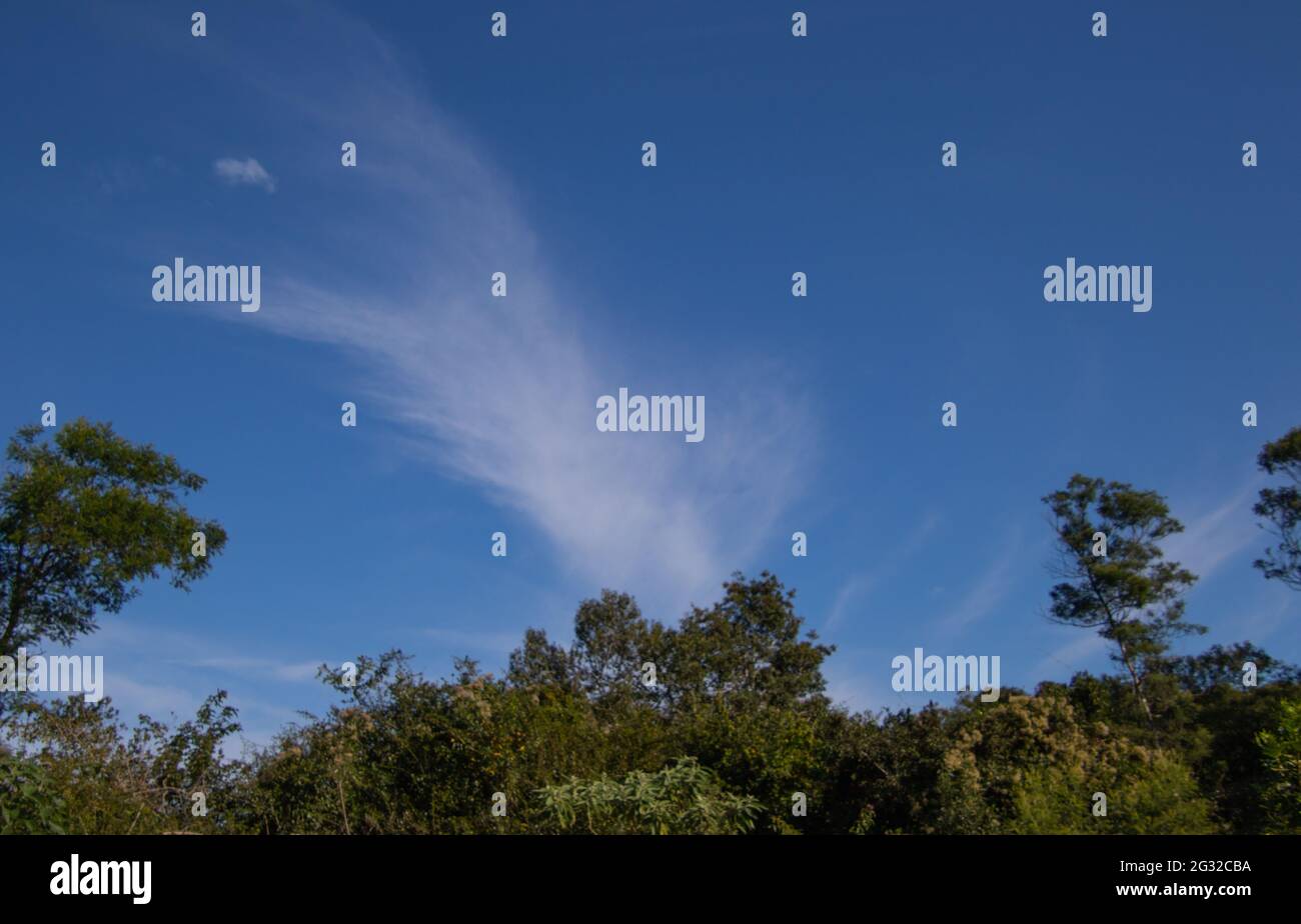 Cloud formations above the forest in Harkerville in South Africa Stock ...