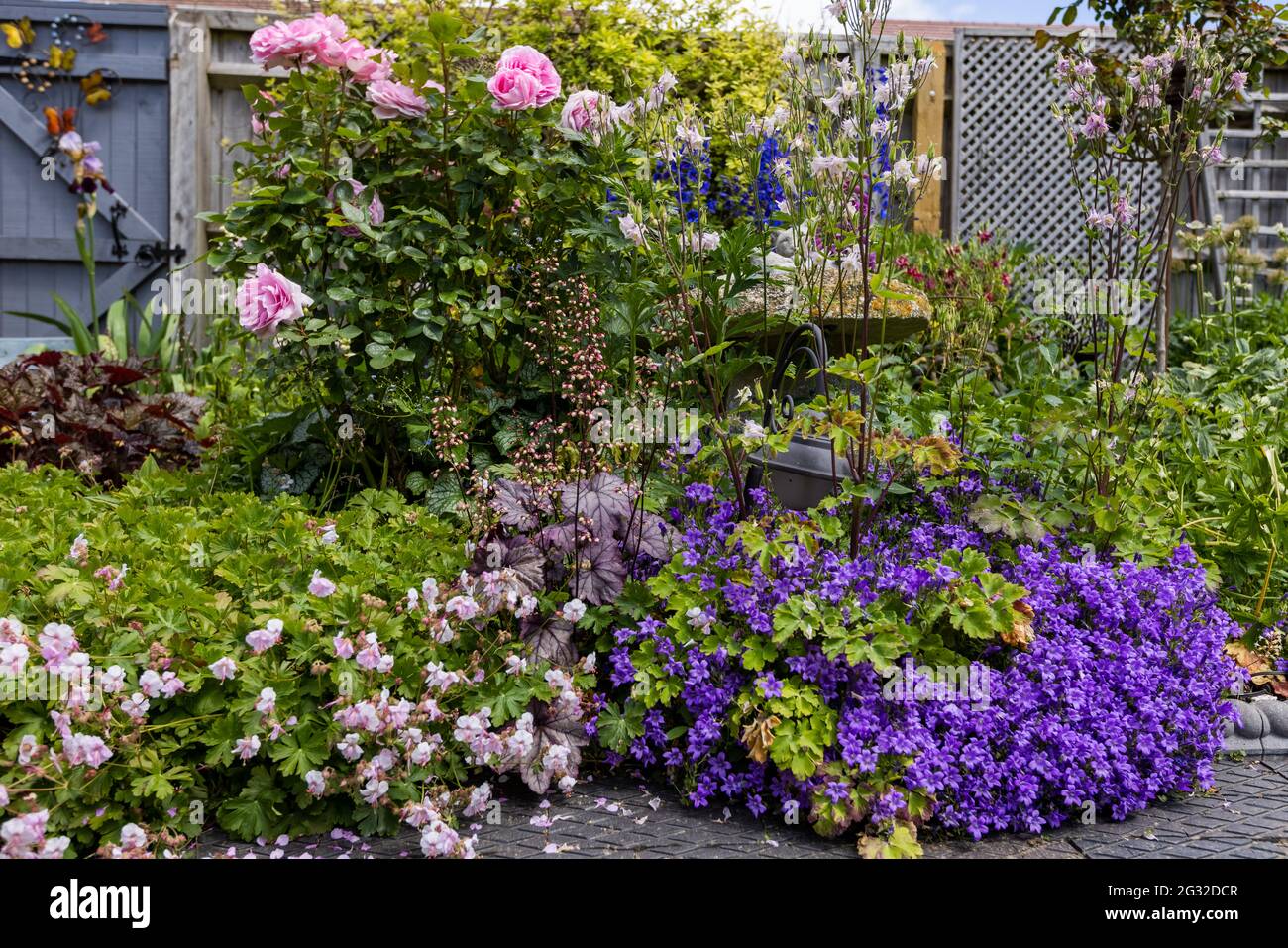 Beautiful display of plants in a cottage garden in Oxfordshire Stock ...