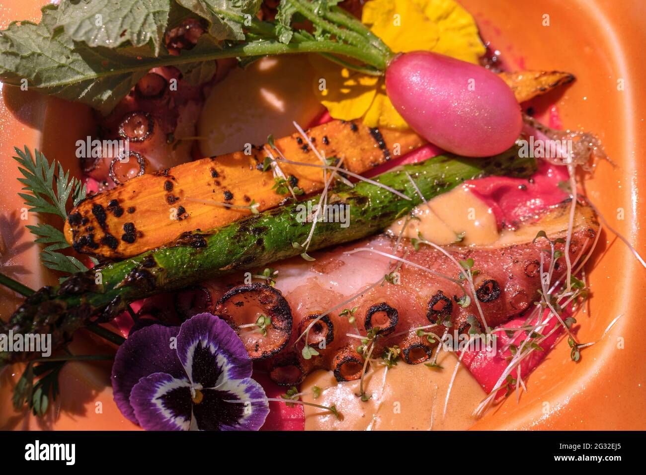Grilled octopus leg with grilled vegetables with leaves and summer ...