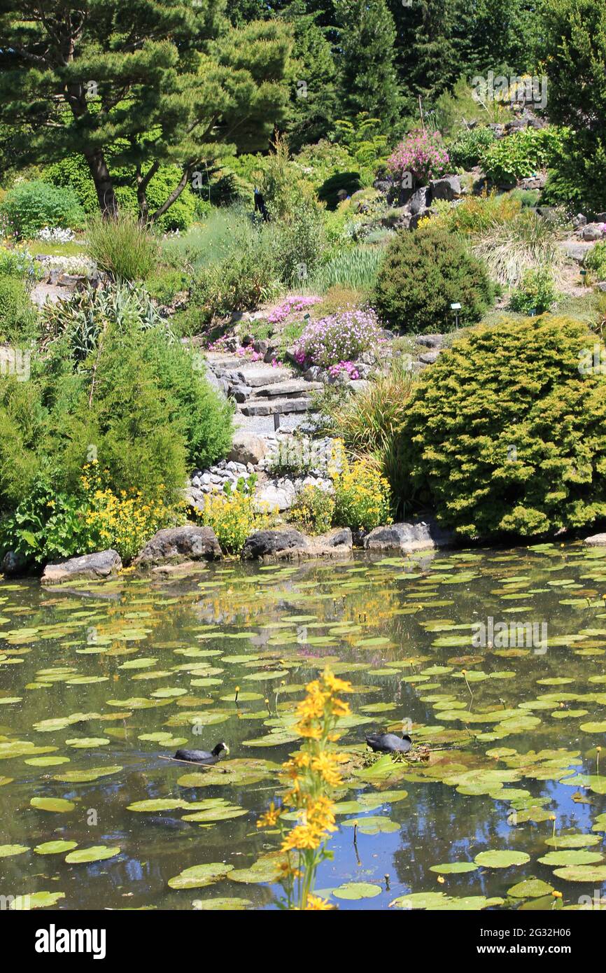 Utrecht University Botanic Gardens Stock Photo - Alamy