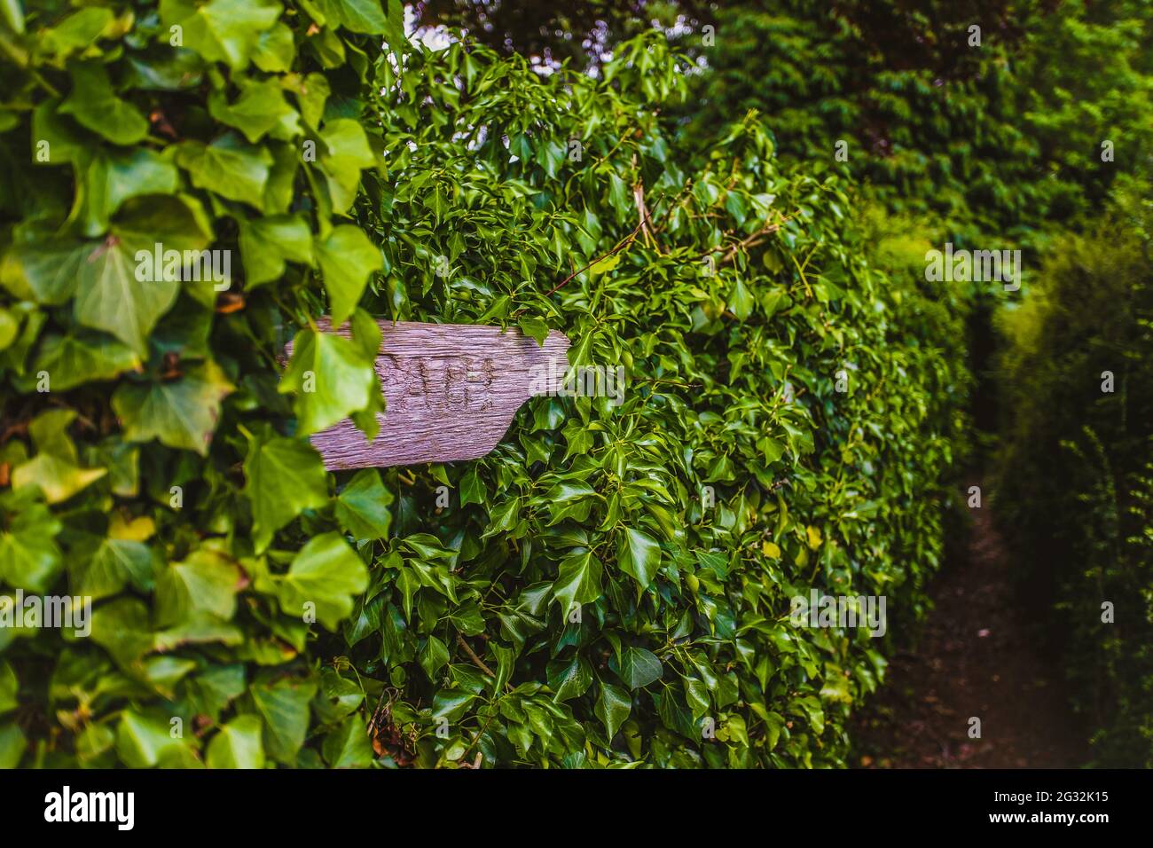 The word "PATH" carved on a wooden board showing the direction of a ...