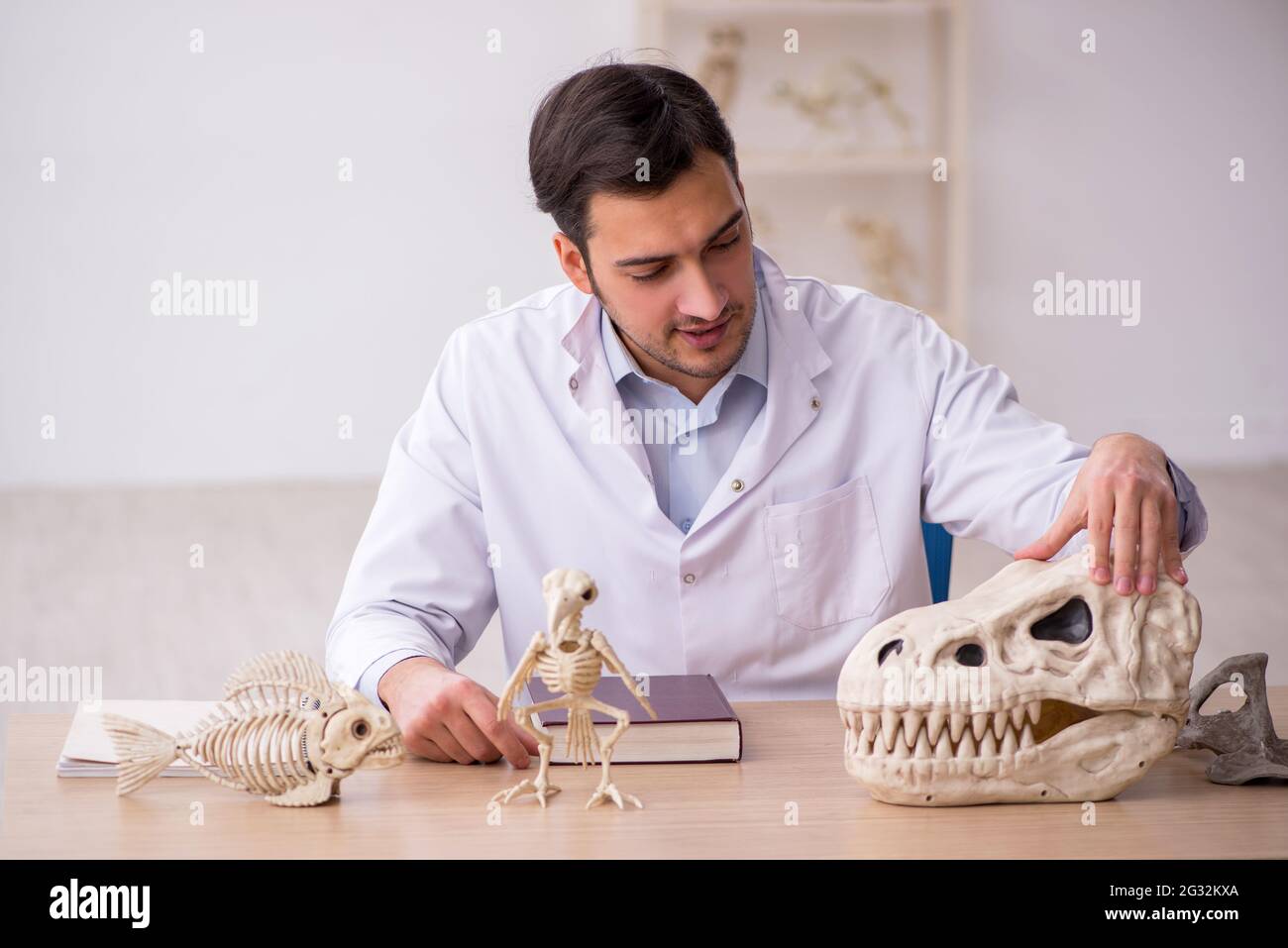 Young student paleontologist examining ancient animals at lab Stock ...