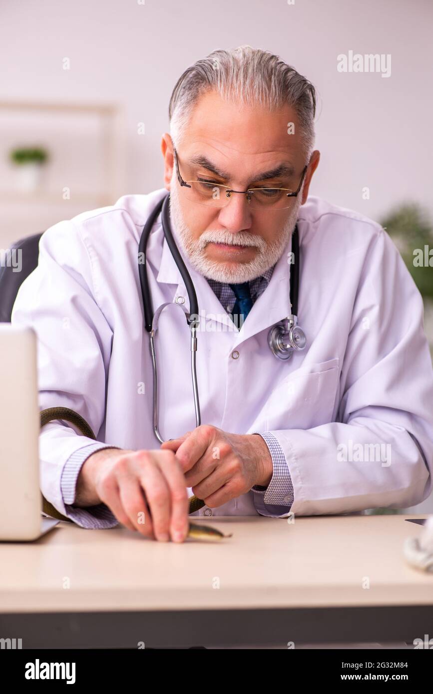Aged male doctor holding snake at workplace Stock Photo - Alamy