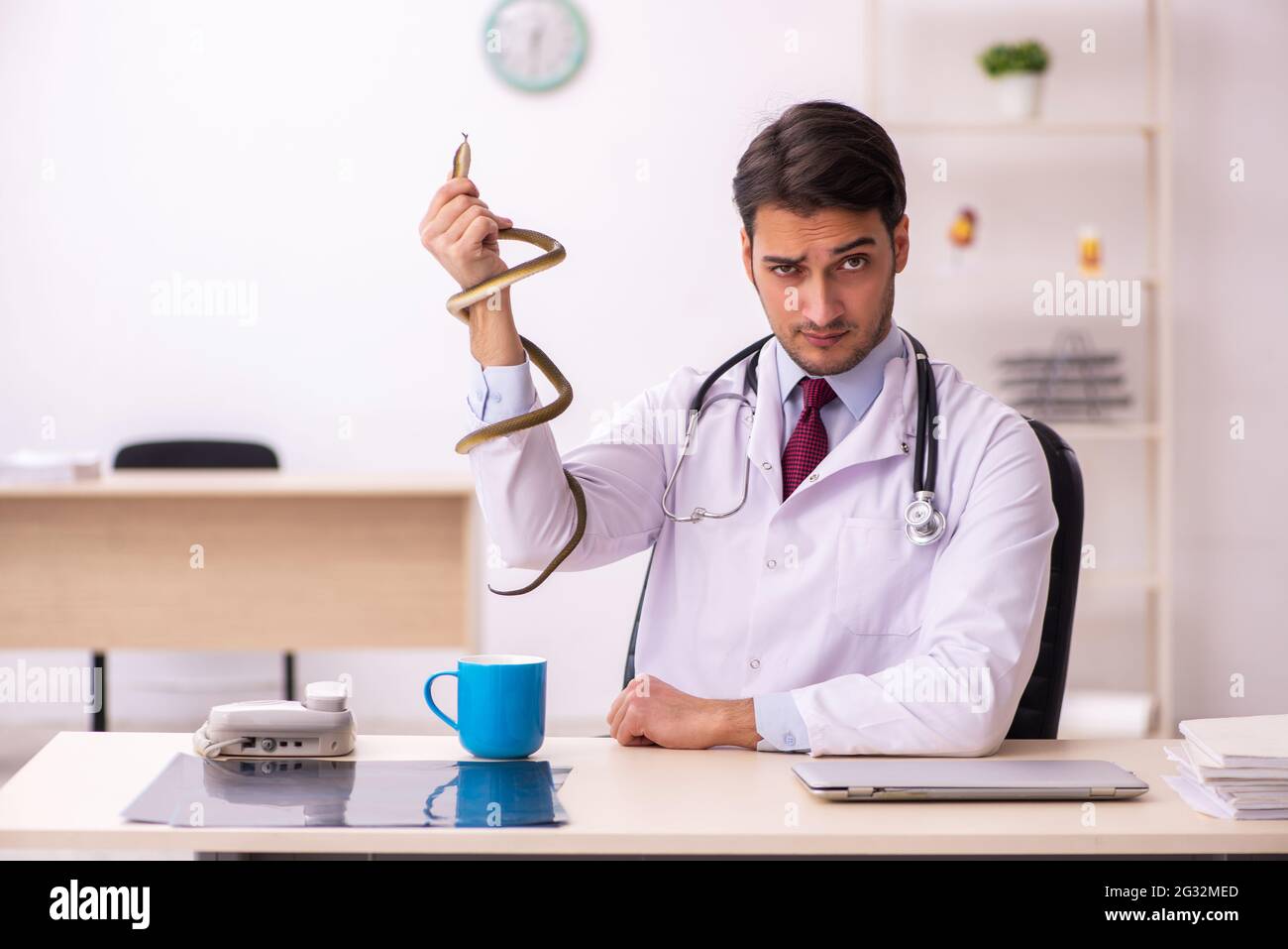 Young male doctor holding snake at the hospital Stock Photo - Alamy