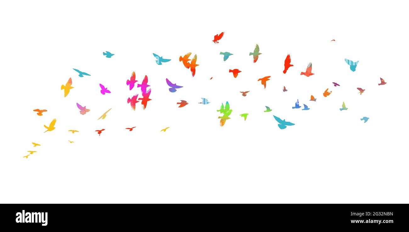A flock of colorful birds. Vector illustration Stock Vector Image & Art ...