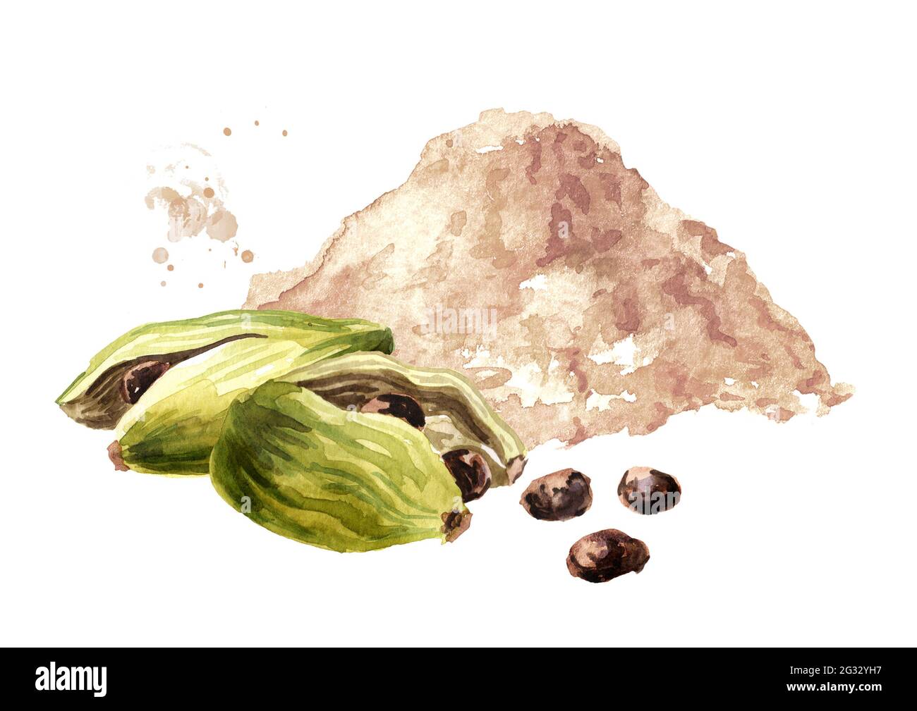 Cardamon powder with pods, Super food and indian aroma spice. Hand ...