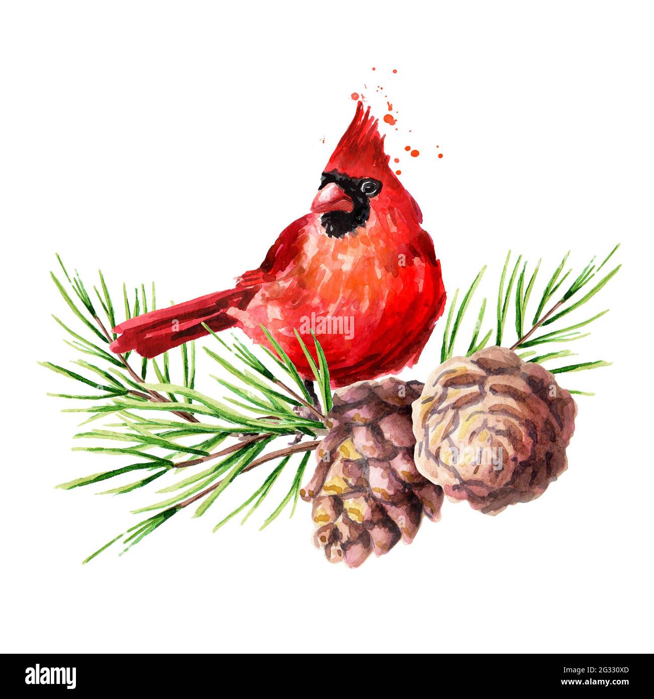 Christmas Cardinal Clipart