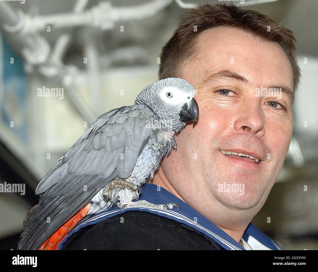 Parrot pic hi-res stock photography and images - Alamy