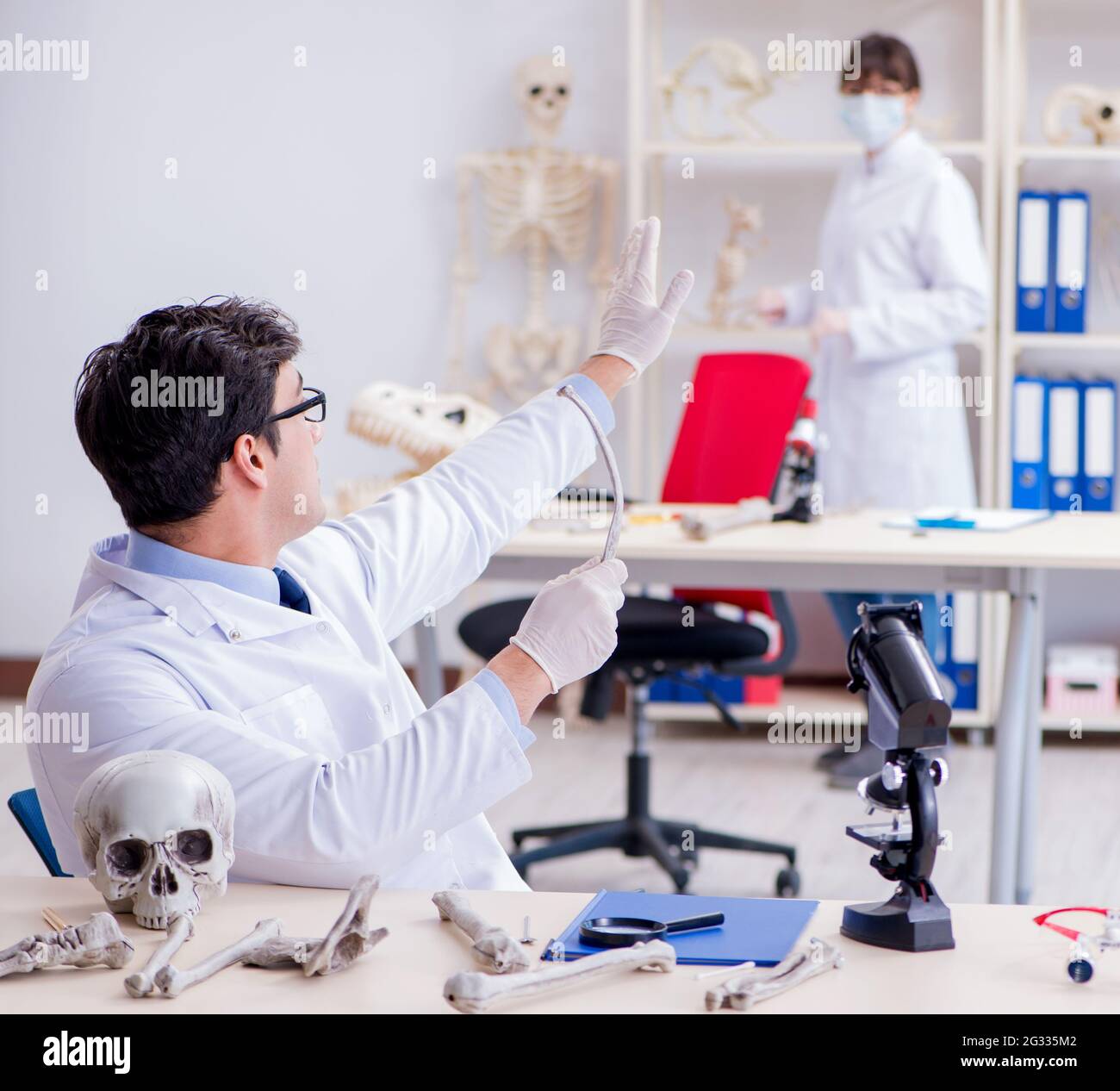 The professor studying human skeleton in lab Stock Photo - Alamy