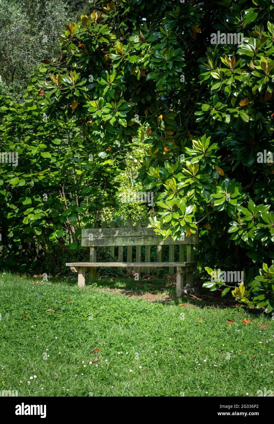 A garden with a wooden rustic bench standing in trees shade Stock Photo ...