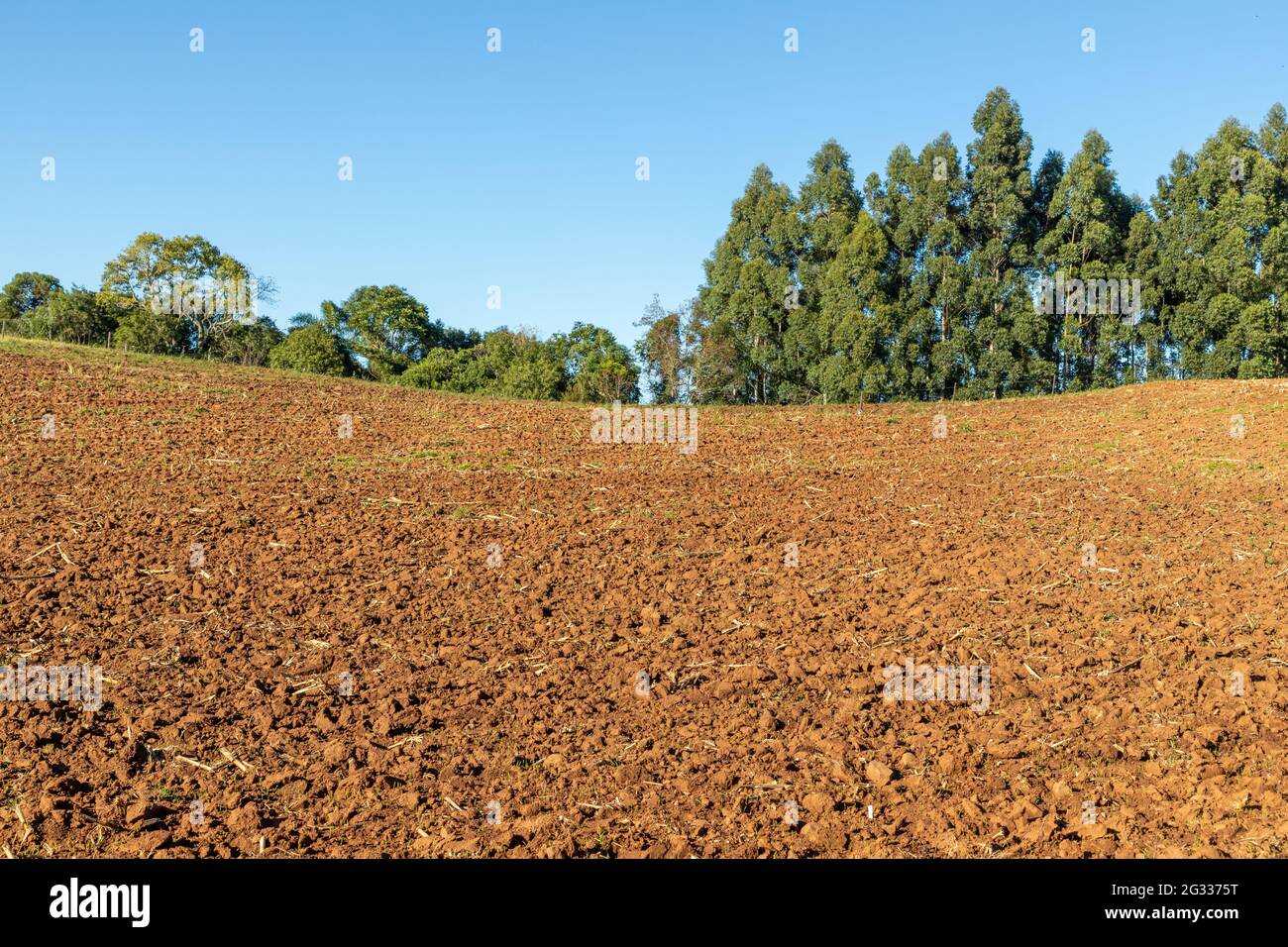 Soil preparation for planting, Pnhal Alto, Nova Petropolis, Rio Grande ...