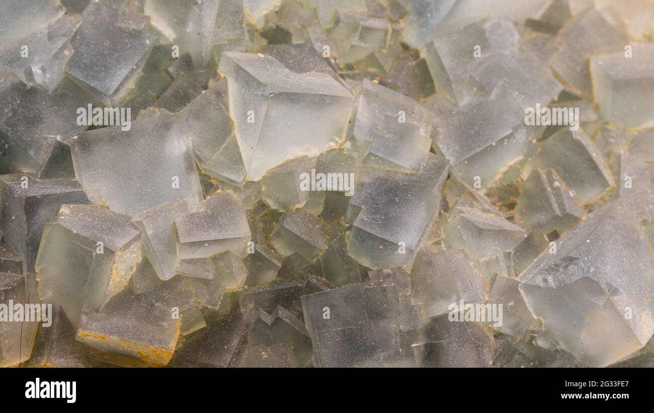 Semitransparent hi-res stock photography and images - Alamy