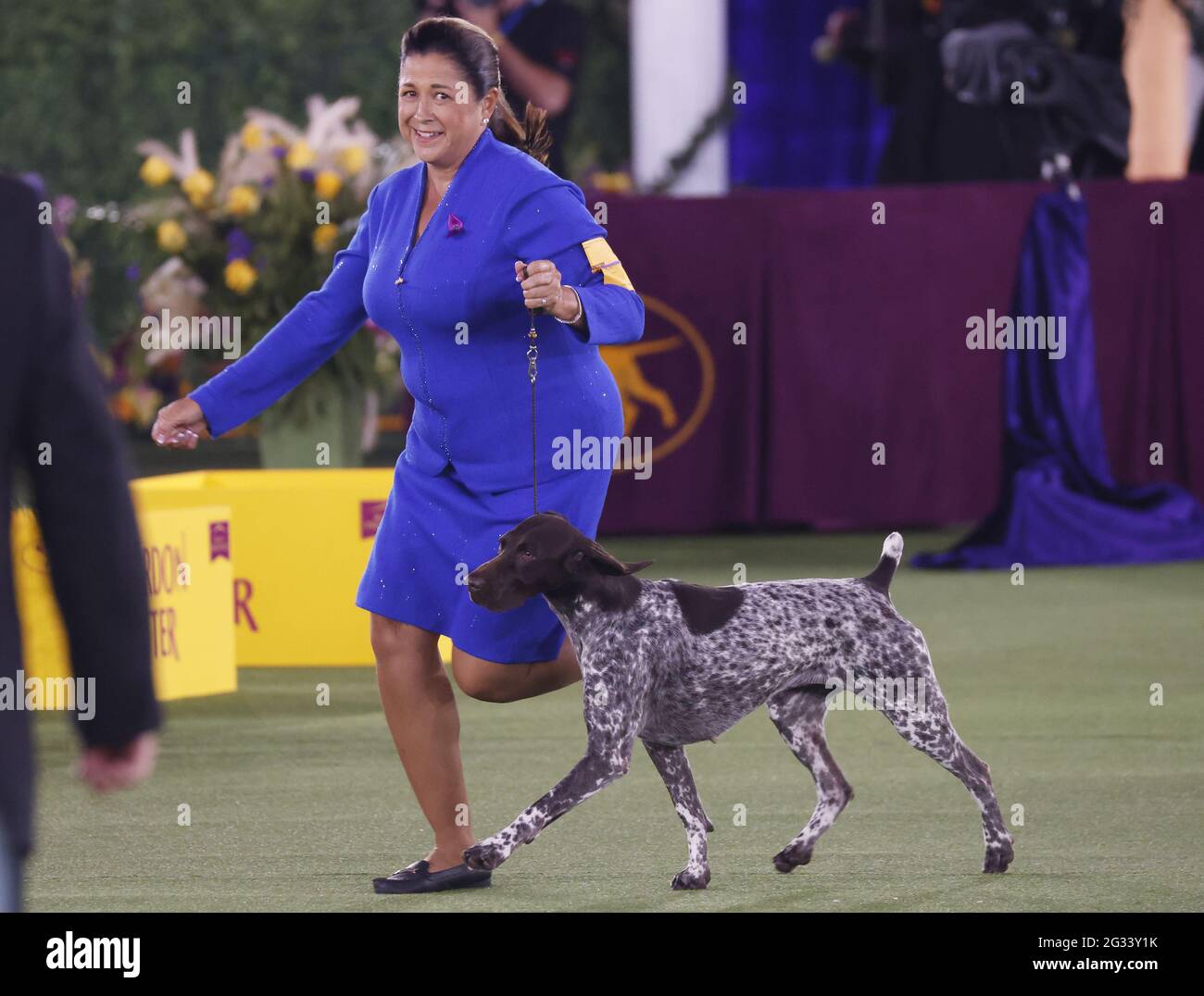 June pointer hi-res stock photography and images - Alamy