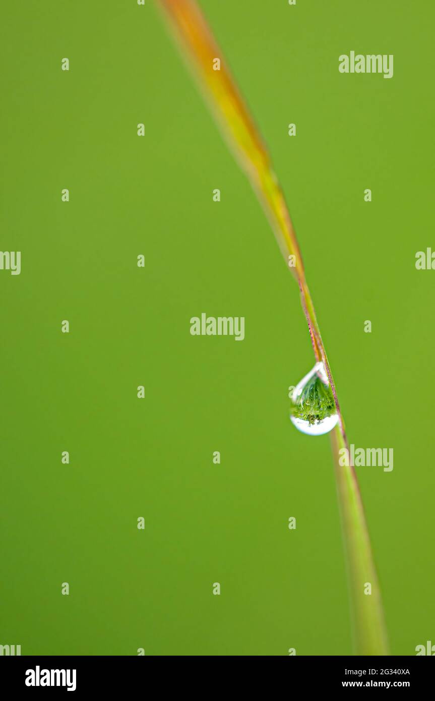 Adhesion cohesion hi-res stock photography and images - Alamy