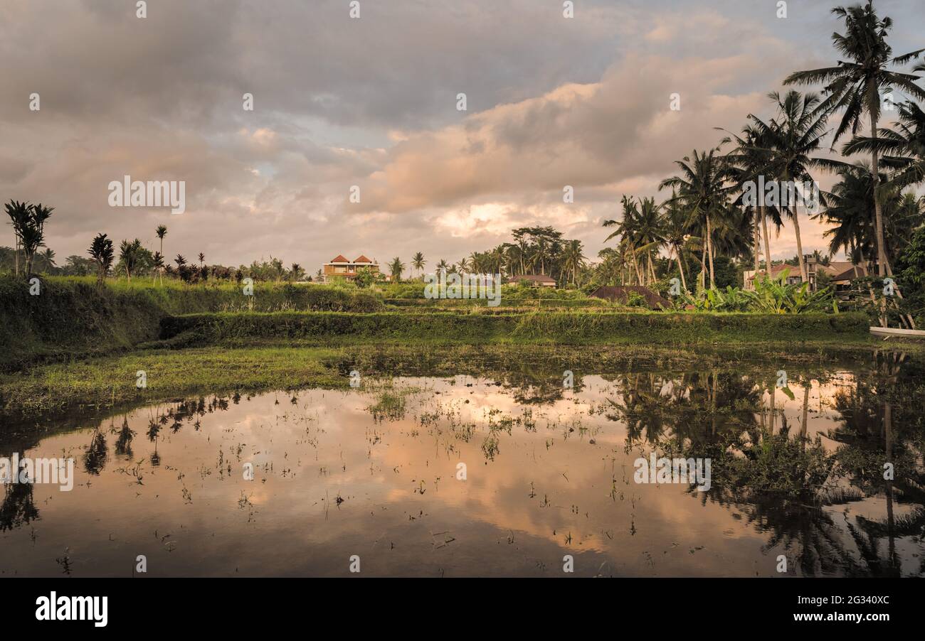 Beautiful landscape on bali hi-res stock photography and images - Alamy