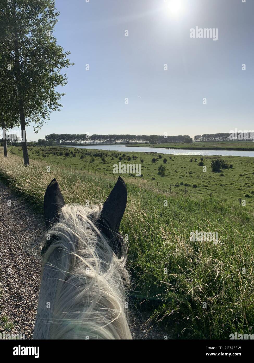 Sunlight gleaming on flowing river hi-res stock photography and images ...