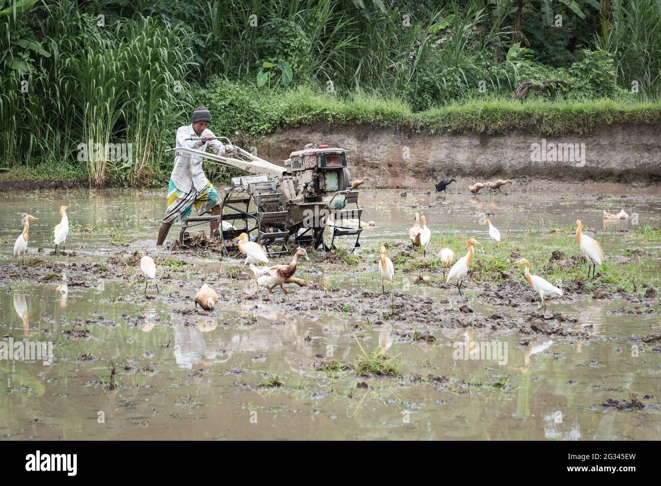 Rural tractor in bali hi-res stock photography and images - Alamy