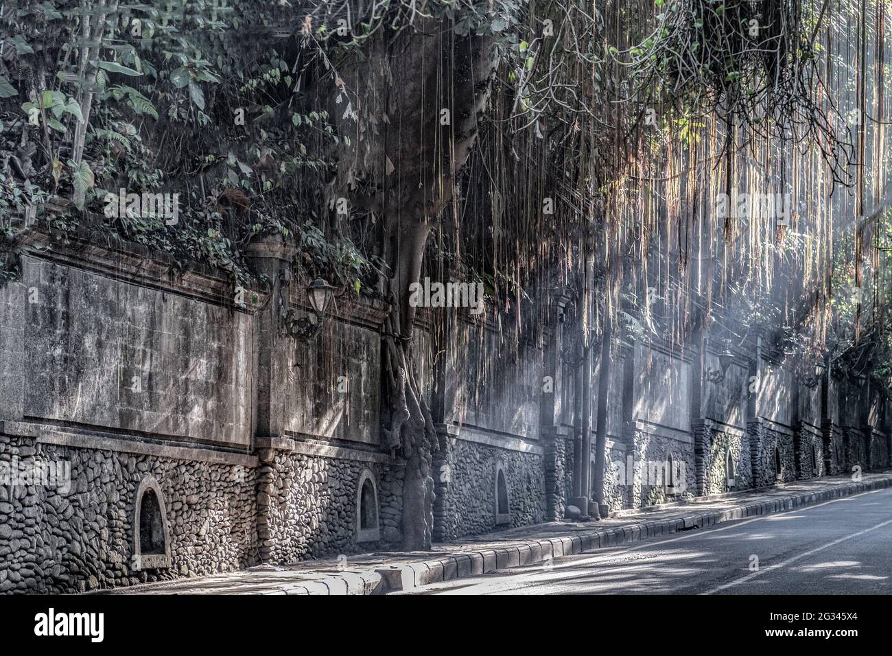 Sun rays in ubud hi-res stock photography and images - Alamy