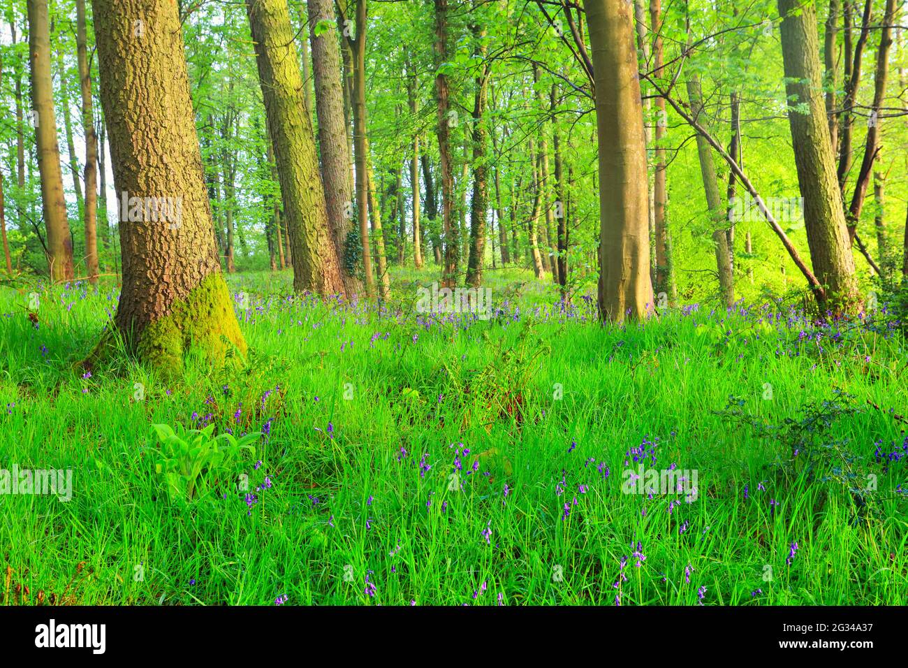 Durham county durham england uk hi-res stock photography and images - Alamy