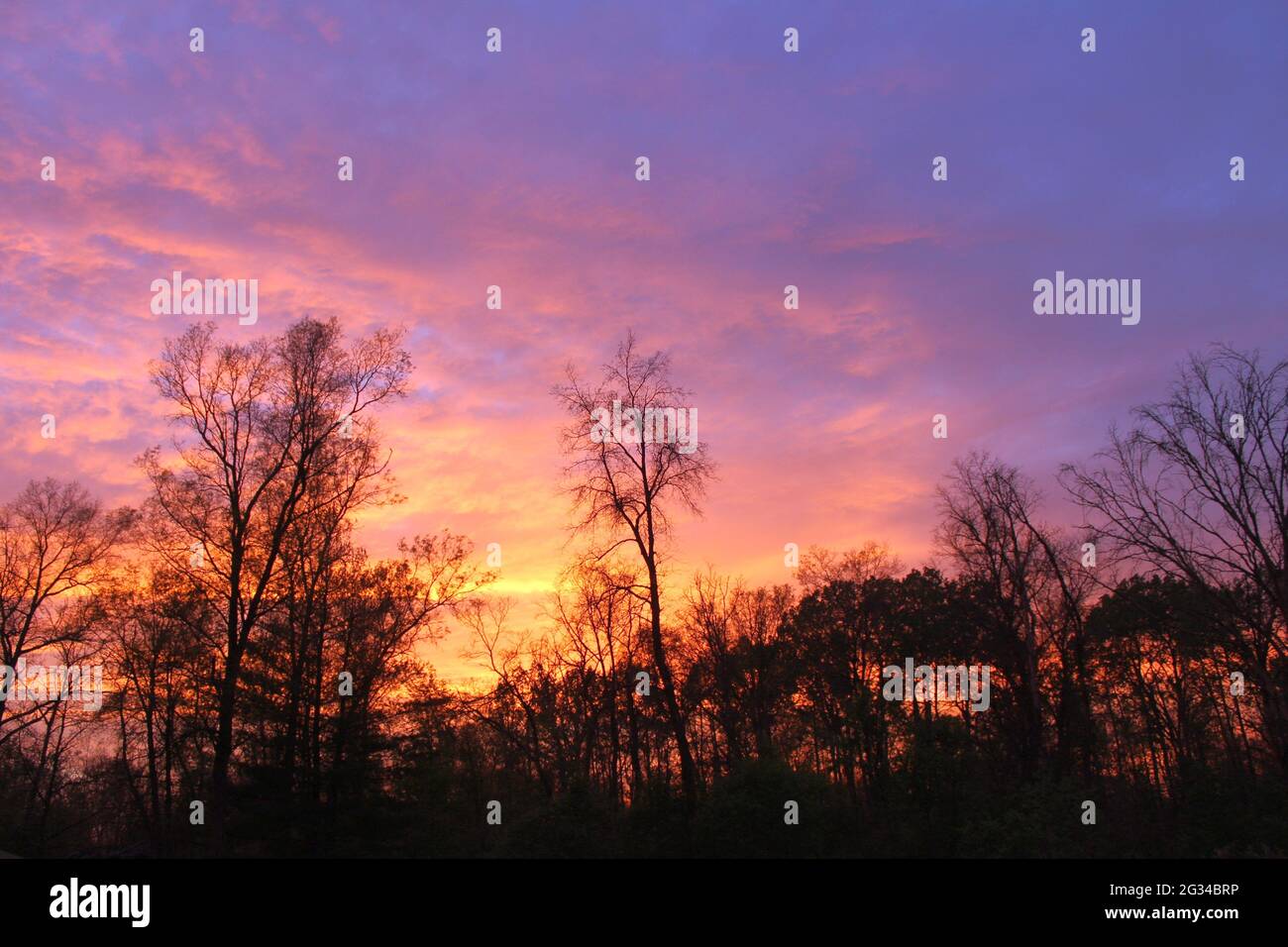 Pink sunset through trees hi-res stock photography and images - Alamy
