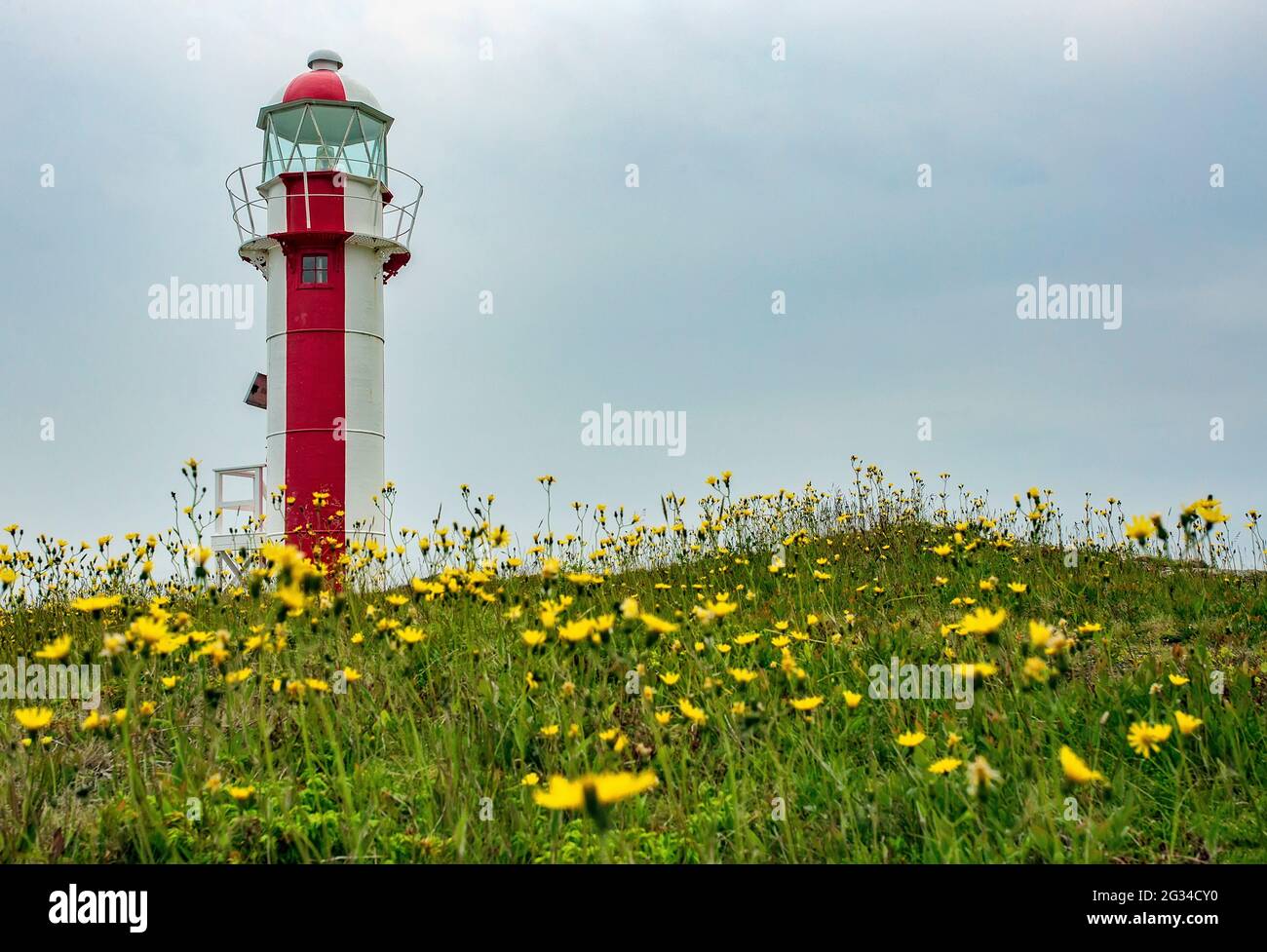 Brigus newfoundland hi-res stock photography and images - Alamy