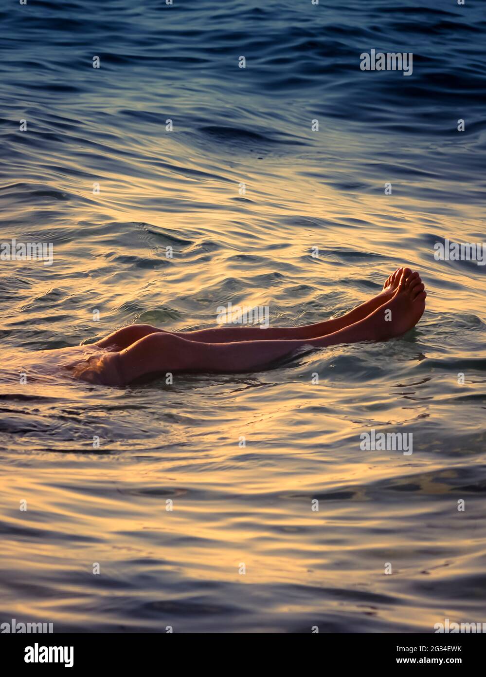 Legs of a woman swimming on her back in the Ocean at sunset, Bahamas ...
