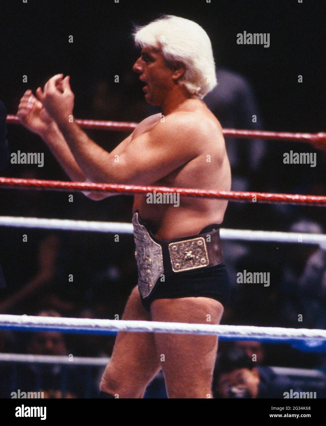 Ric Flair 1987 Photo By John Barrett/PHOTOlink /MediaPunch Stock Photo ...