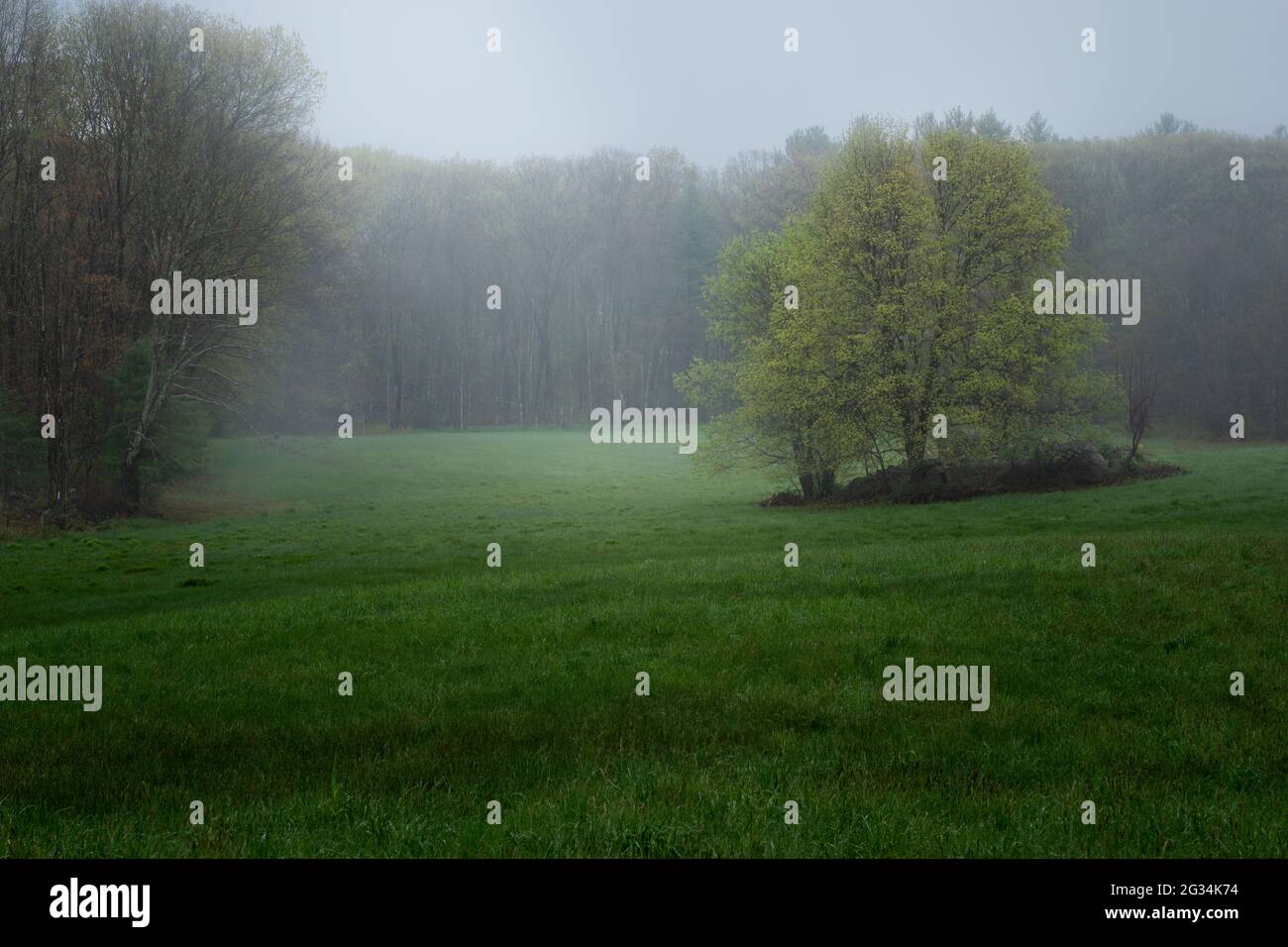 Creepy field hi-res stock photography and images - Alamy