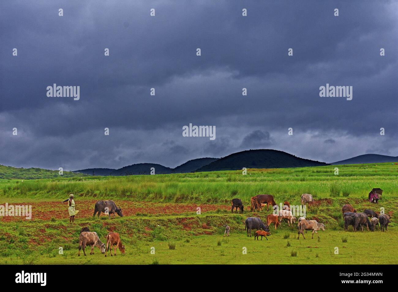 Koraput, Odisha, India Stock Photo - Alamy