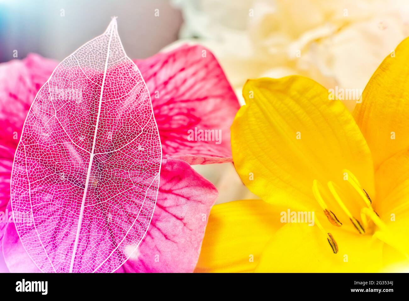 Expressive artistic image of beauty and purity of nature. Beautiful ...