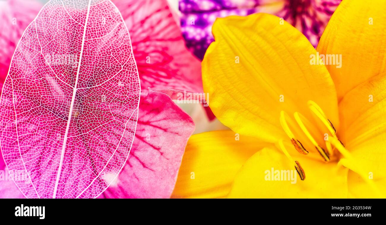 Expressive artistic image of beauty and purity of nature. Beautiful ...