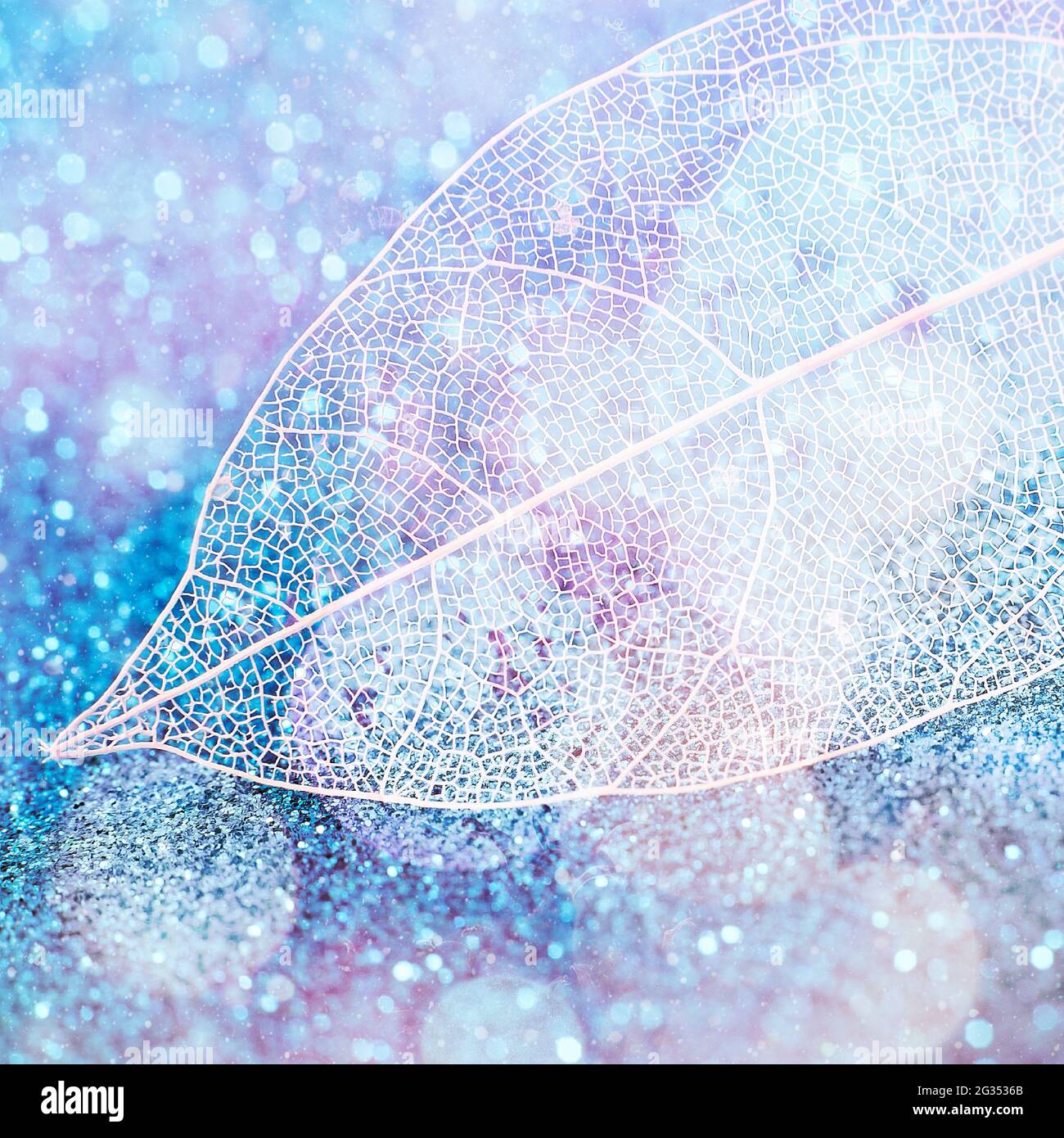 Expressive artistic image of beauty and purity of nature. Beautiful ...