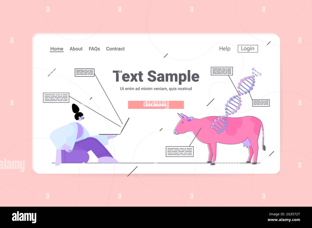 scientist working with DNA of cow researcher making experiment in lab ...
