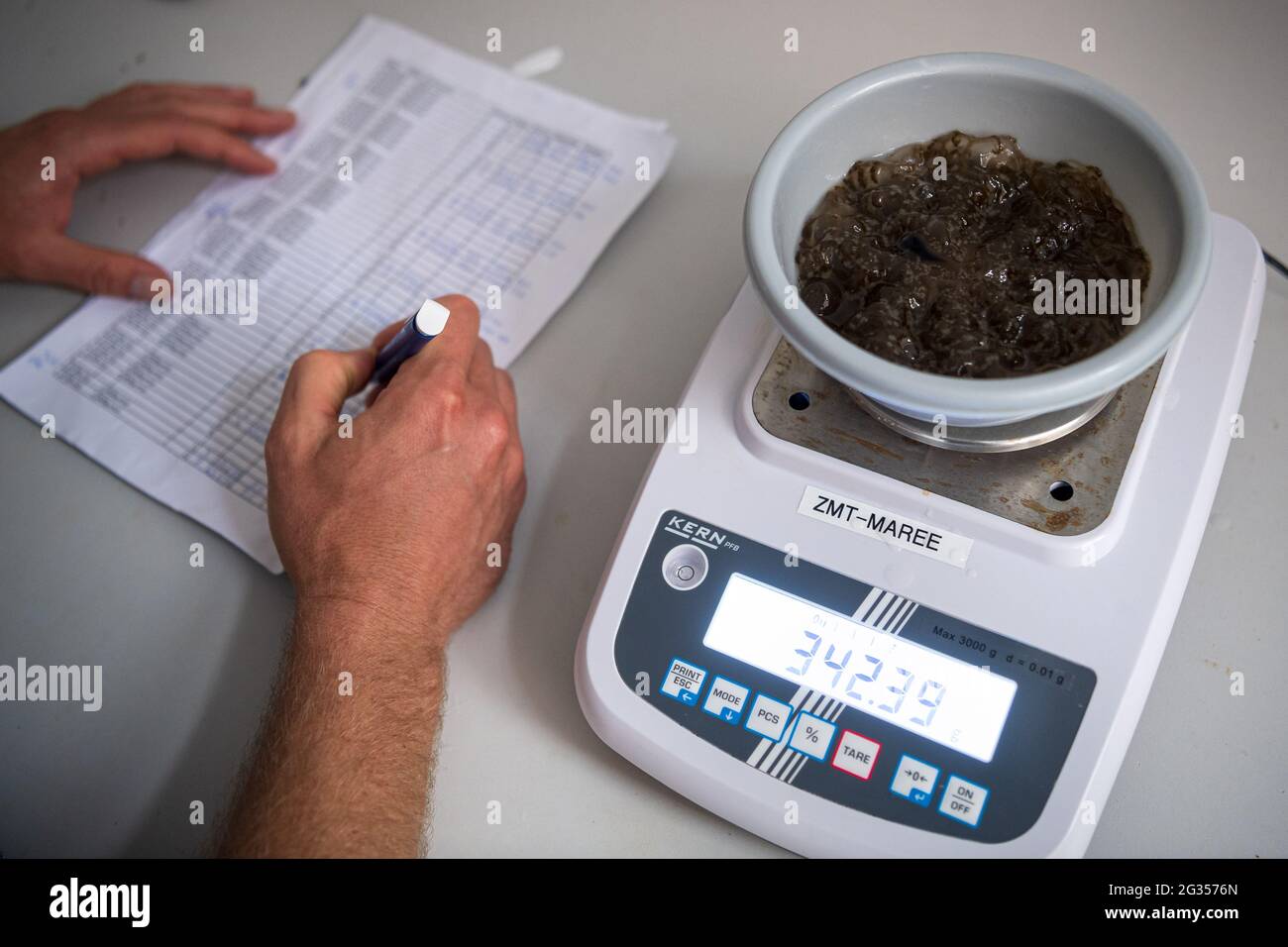 Marine biologist notes hi-res stock photography and images - Alamy