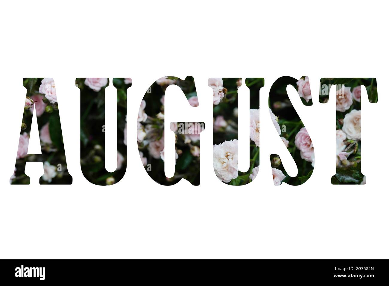 Word August made of leaves and flowers on white background. Creative ...
