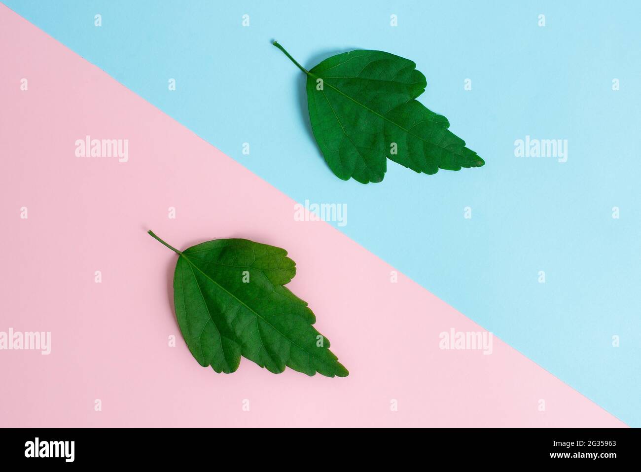 Comparison of Two Objects Blocks Pencils Sticker Notes Facing Inward ...